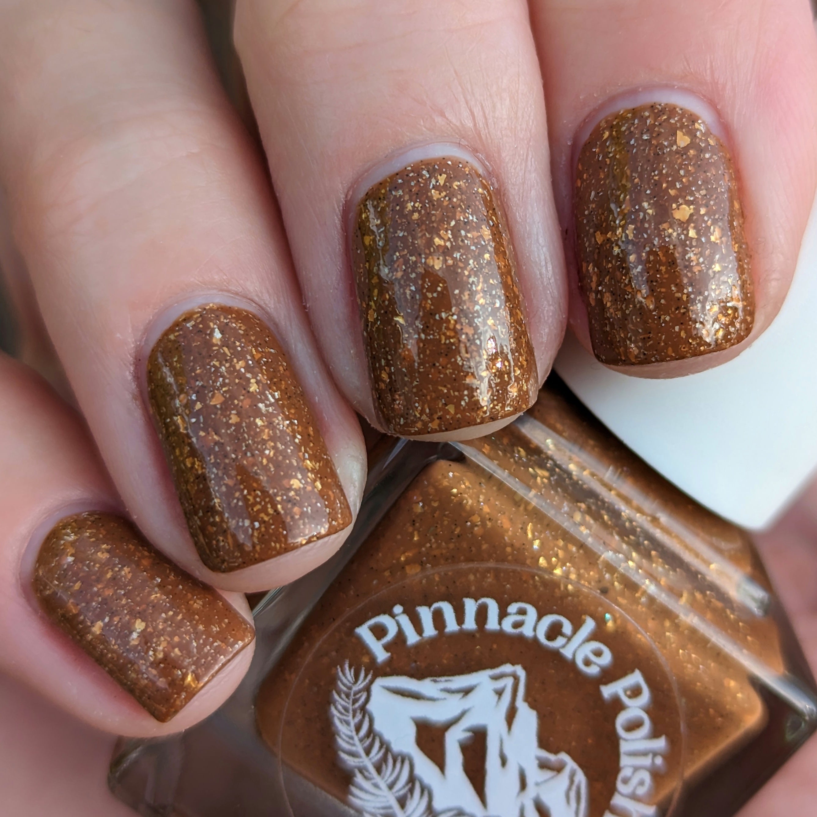 Lentil Soup – Pinnacle Polish